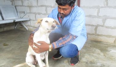 Pledge to Protect Animals | Animal Rahat