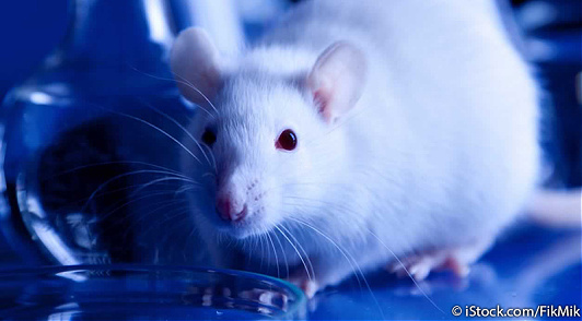 Meet the ‘Terrible 10’—Companies That Capture, Torment, and Kill ...