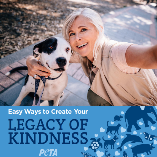 Request your free Gifts in Wills brochure | PETA