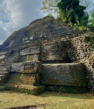 From Brookland to the Big Pacific…