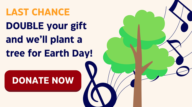 🌲 Plant a tree + support WETA Classical 🎵