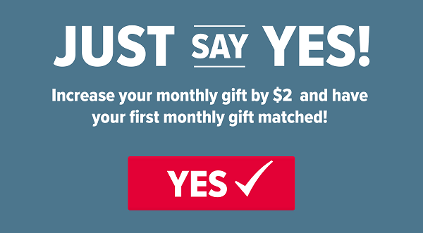 Just Say Yes! Increase your commitment to WETA