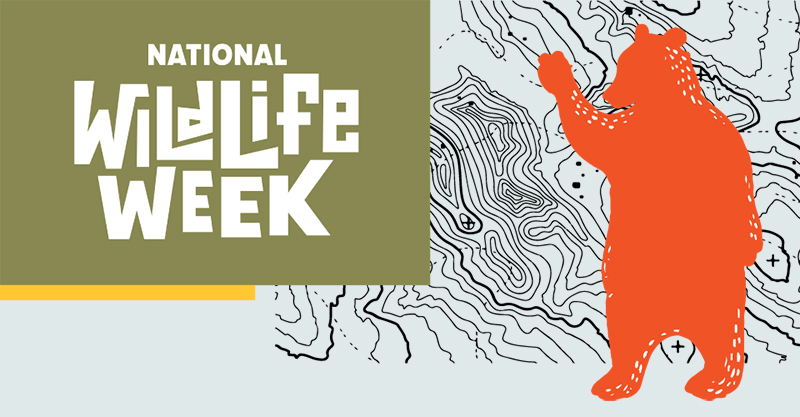 Share How You’re Still Safely Enjoying Wildlife with Our Conservation Army