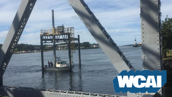 Oceans Beyond Earth | Safeguarding Scallops | Sensors for Microplastics