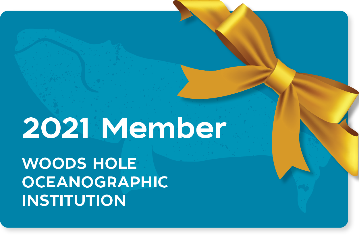 5 Questions with Dr. Amala Mahadevan – Woods Hole Oceanographic Institution