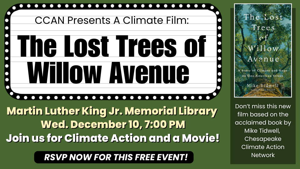 The Lost Trees of Willow Avenue