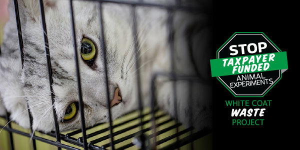 DONATE | White Coat Waste