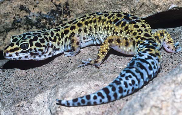 A high and a low for our planet