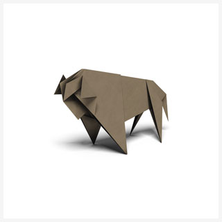 Download Origami Folding Instructions from WWF | World Wildlife Fund
