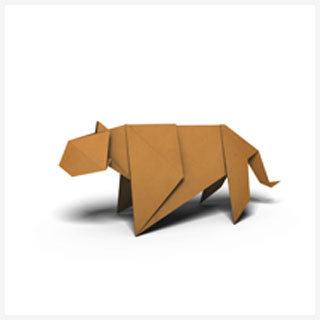 Download Origami Folding Instructions from WWF | World Wildlife Fund