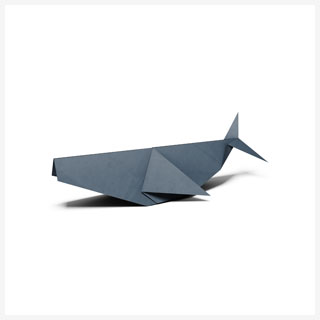 Download Origami Folding Instructions from WWF | World Wildlife Fund